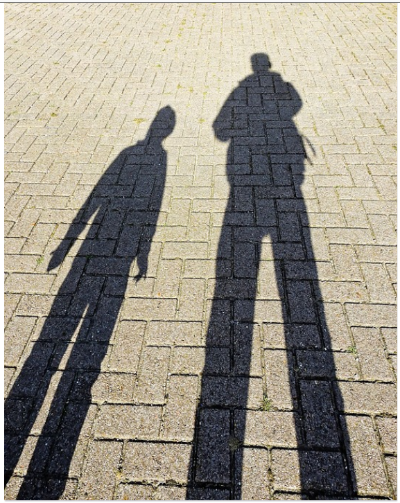 The SAT is to IQ as shadows are to height | Pumpkin Person