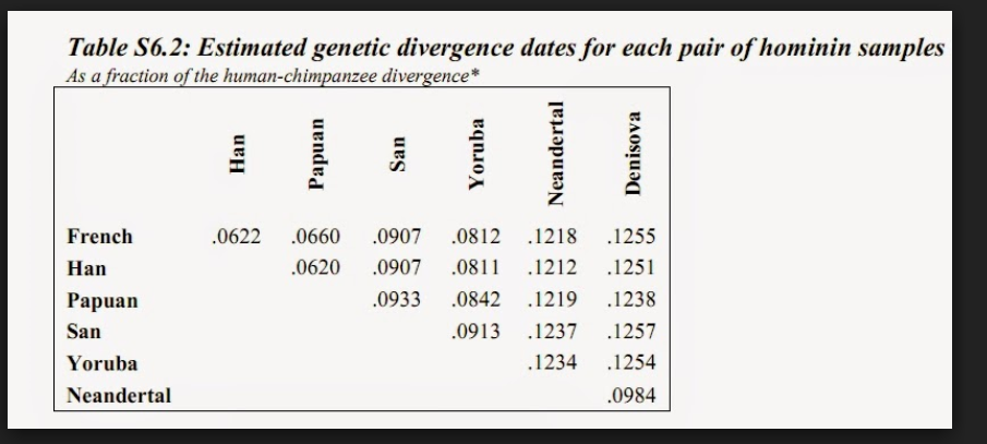 Genetic distance between humans, neanderthals & other primates ...
