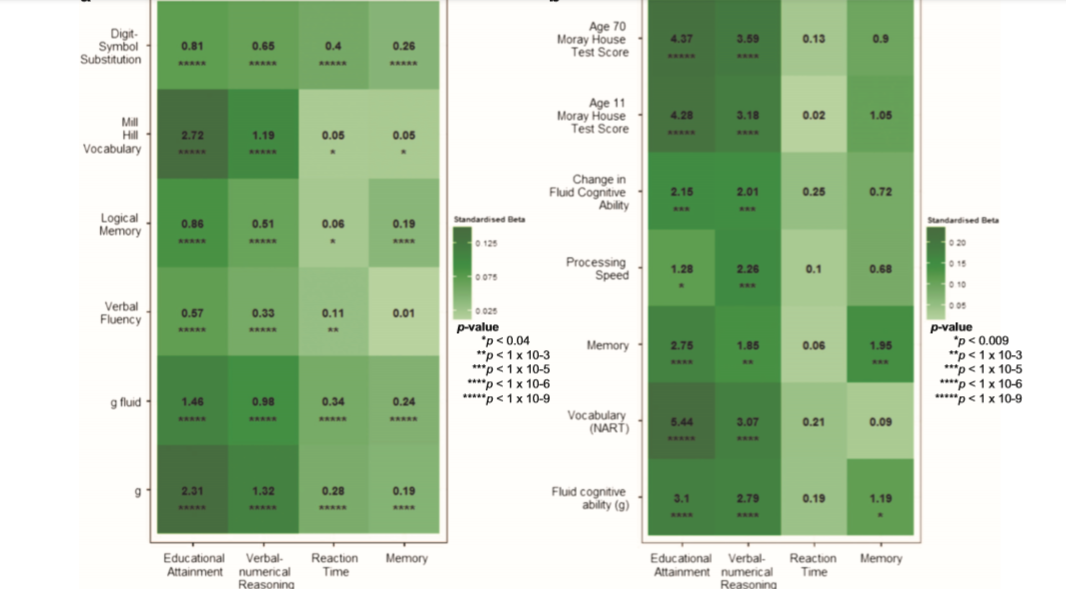 How genetic is IQ? | Pumpkin Person