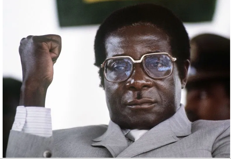 Robert Mugabe’s IQ | Pumpkin Person