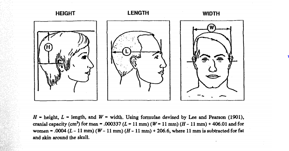 The non-linear relationship between head circumference & cranial ...
